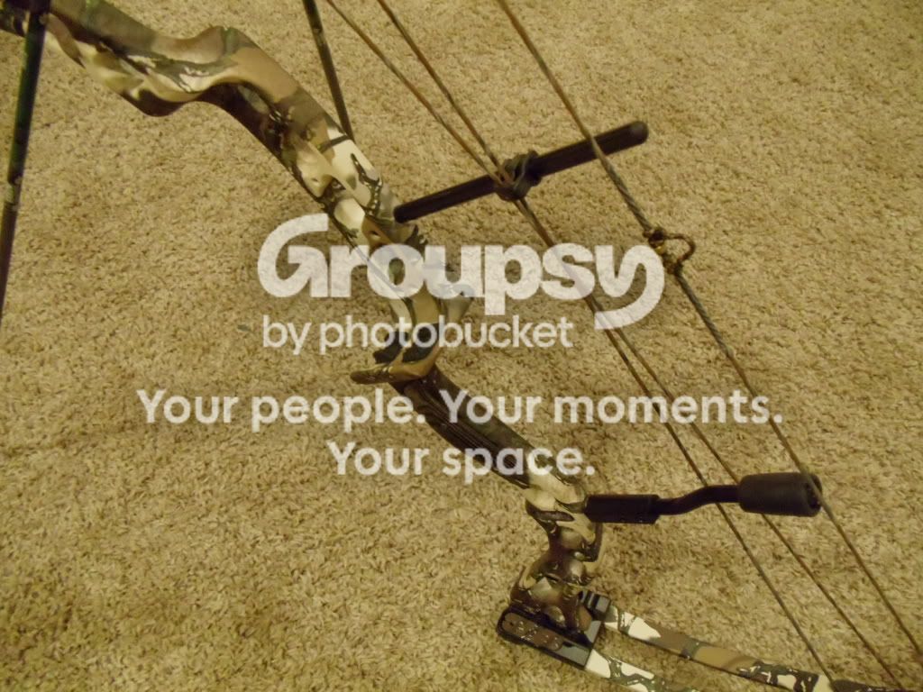 Strother Infinity - Predator - 29" - 65# - RH | Archery Talk Forum